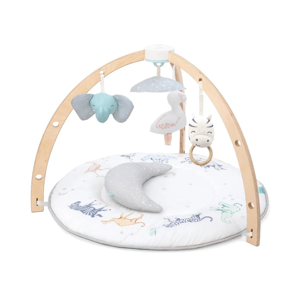 Aden + Anais - Play & Discover Activity Gym – Little Canadian