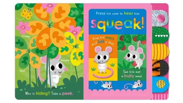 My Busy Animal Book: Scholastic Early Learners (Touch and Explore) (Ha ...