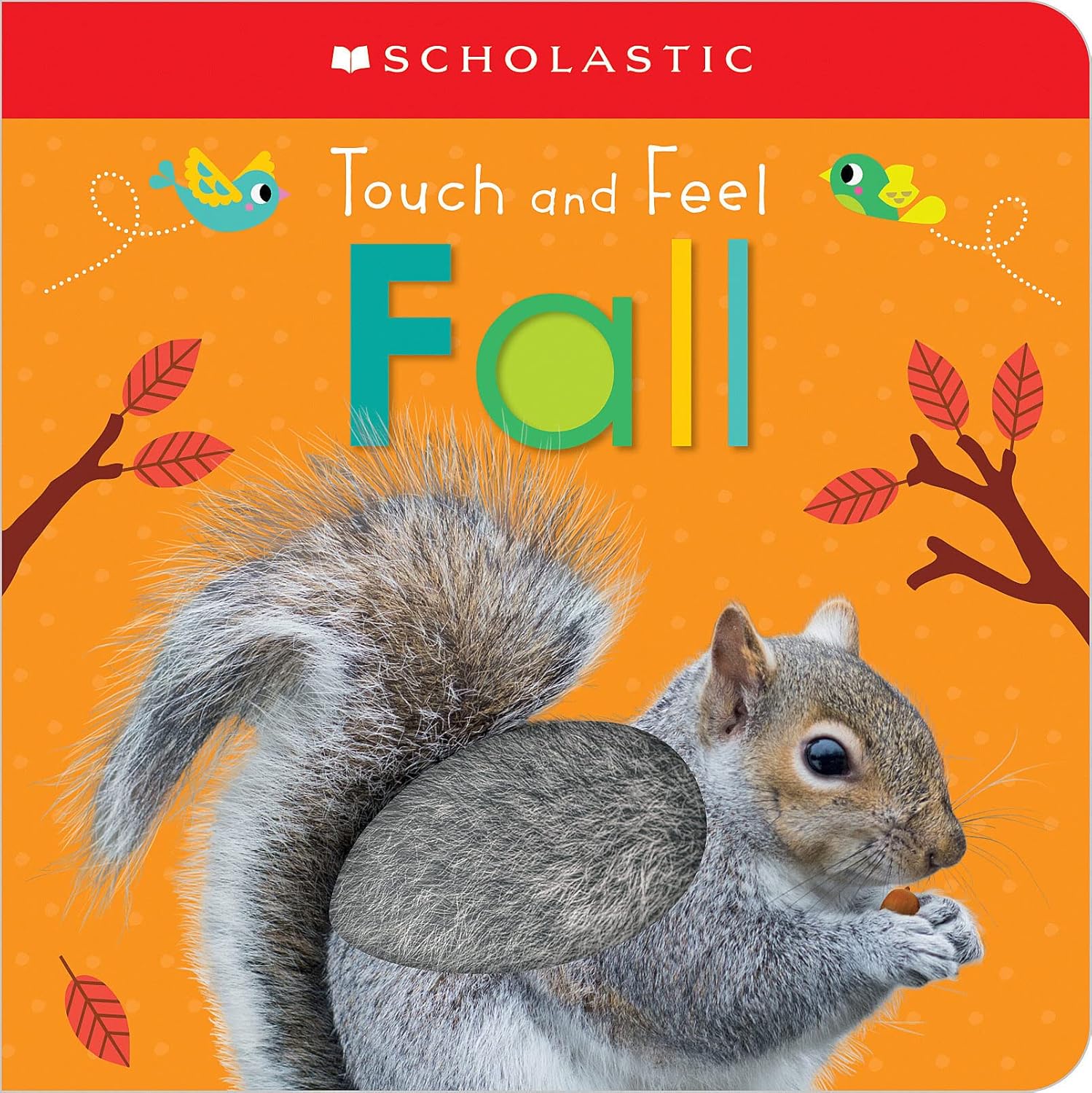 Touch and Feel Fall: Scholastic Early Learners (Touch and Feel) - Boar ...
